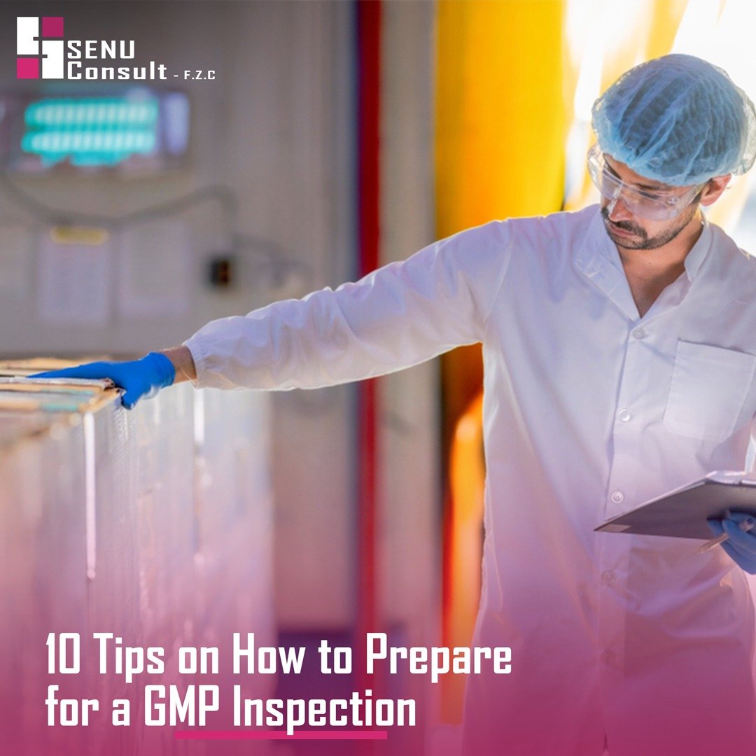 10 Tips on How to Prepare for a GMP Inspection - Senu Consult